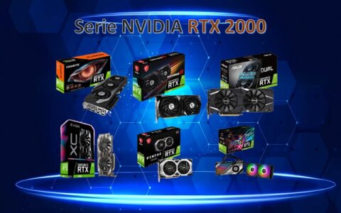 🧐 Serie NVIDIA 2000 • Tarjetas Gráficas PC